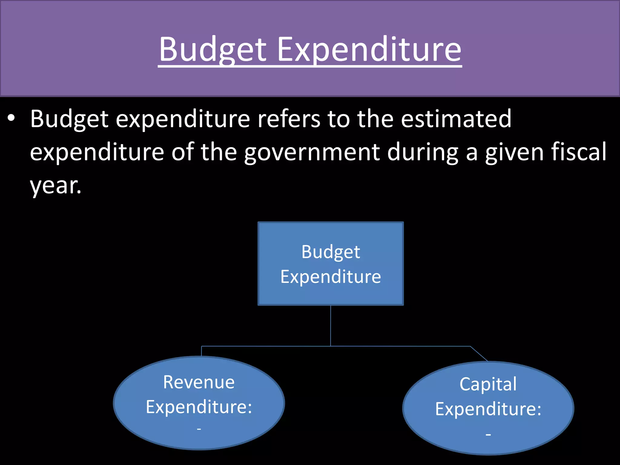 Government budget and the economy | PPTX