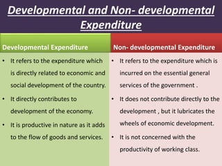Government budget and the economy | PPTX