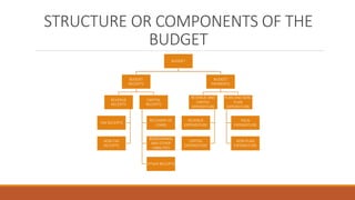 Government budget and the economy | PPTX