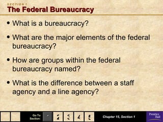 Federal Bureaucracy Pyramid