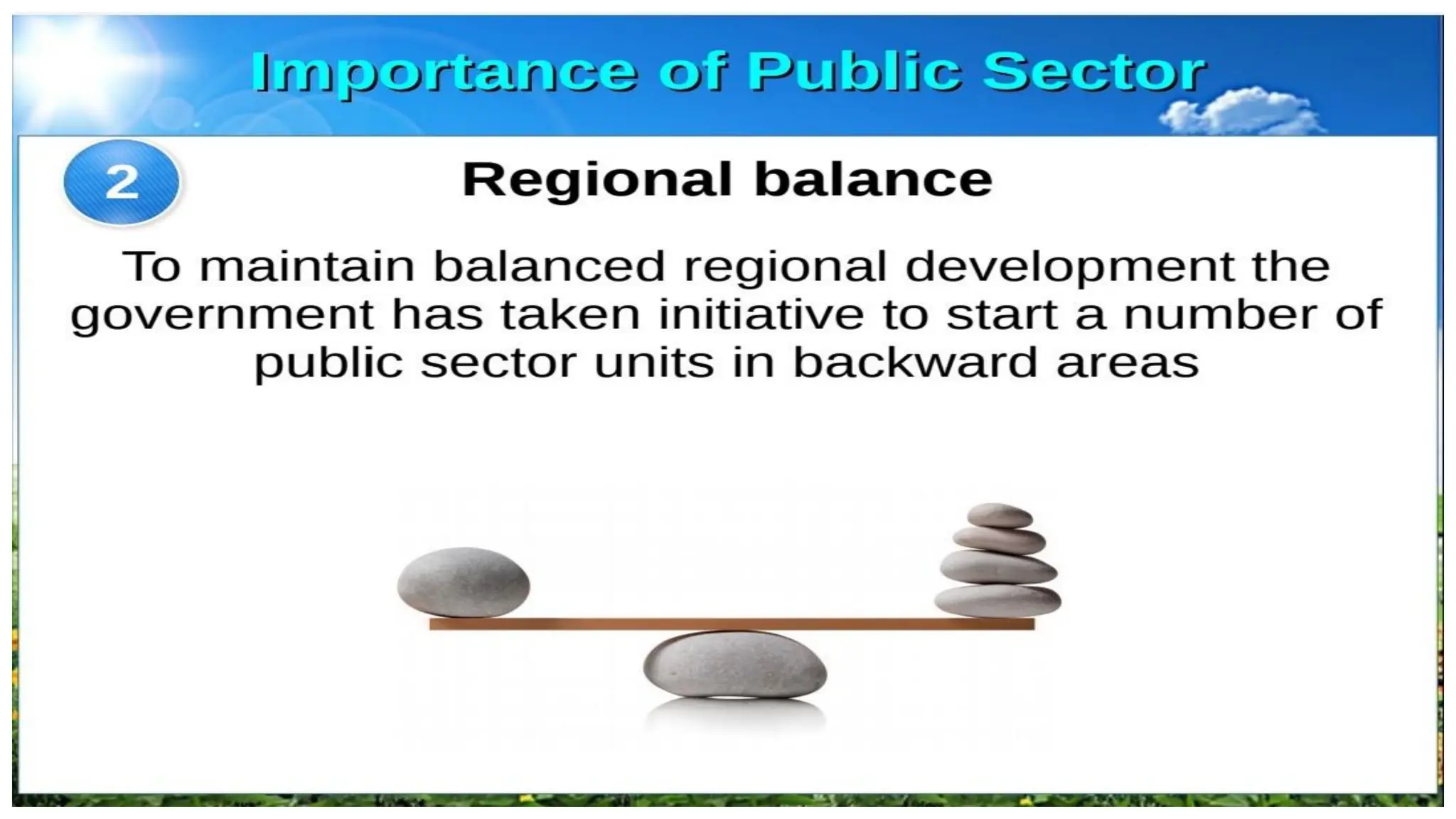 Government company.pdf