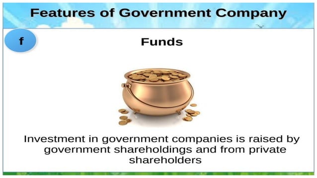 Government company.pdf