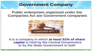 Government company.pdf