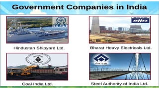 Government company.pdf