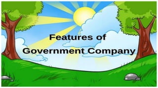Government company.pdf