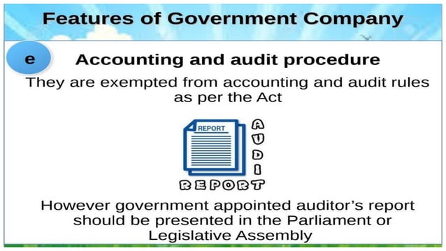 Government company.pdf