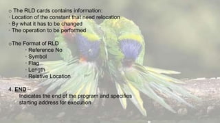 Loader and Its types | PPTX