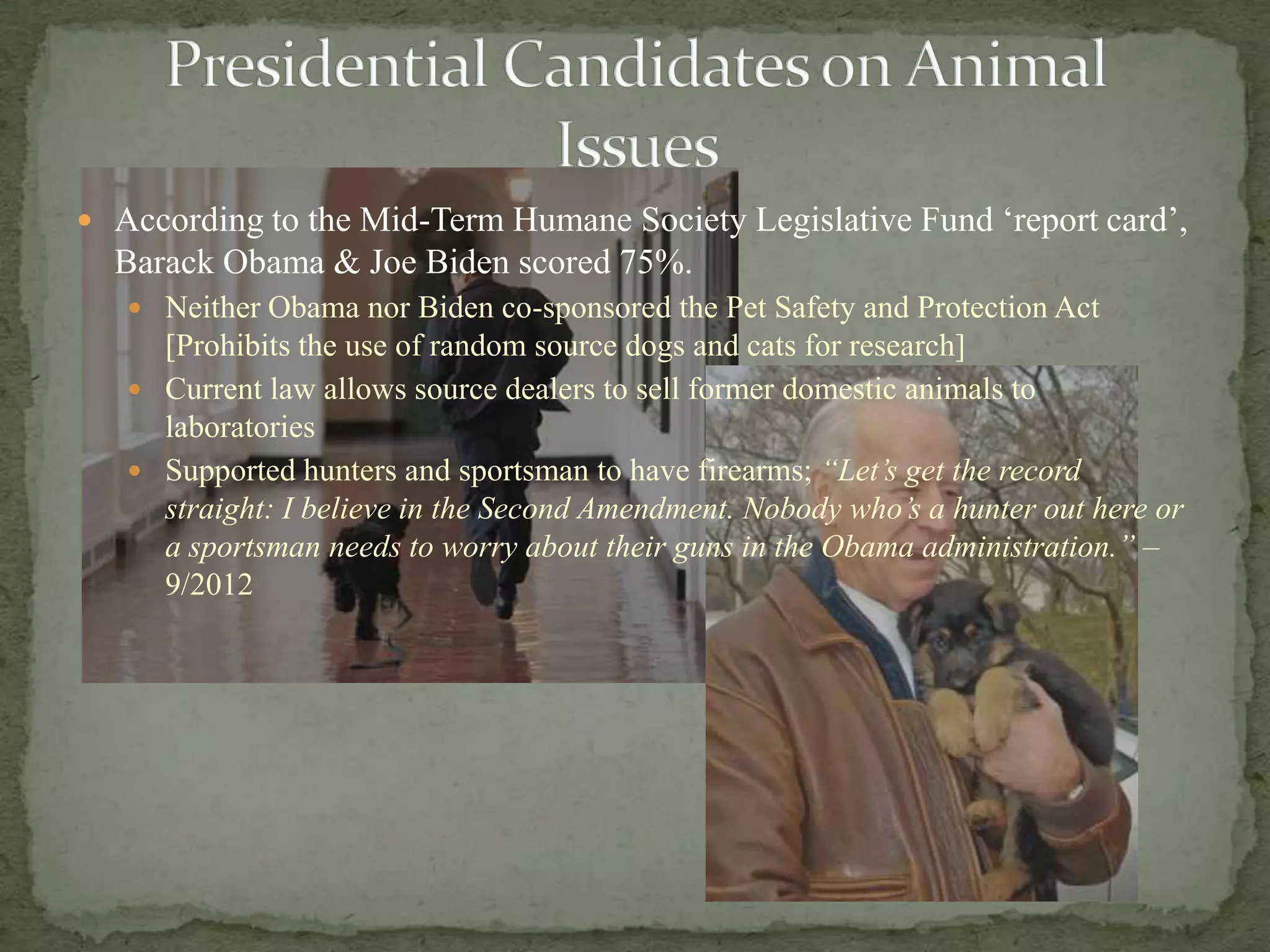 The Executive Branch | PPTX | Elections | Politics