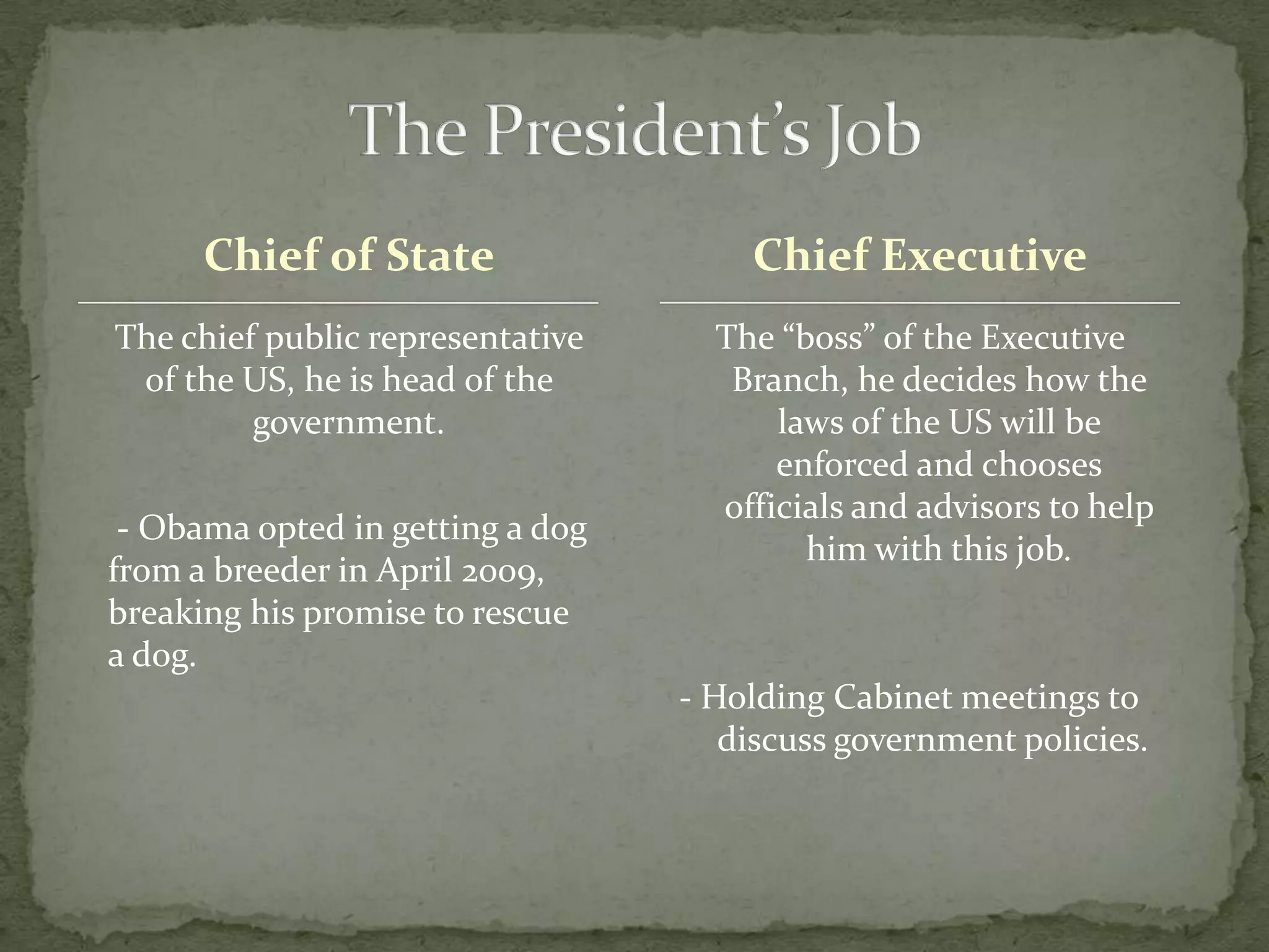 The Executive Branch | PPTX | Elections | Politics