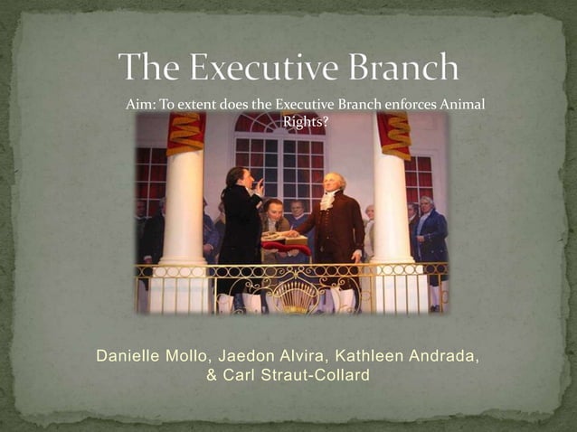 The Executive Branch | PPTX | Elections | Politics