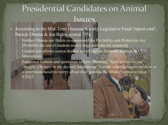 The Executive Branch | PPTX | Elections | Politics