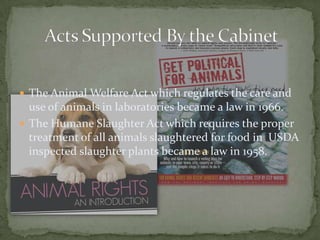 The Executive Branch | PPTX | Elections | Politics