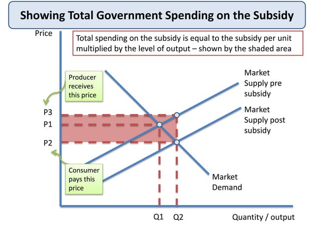 Government subsidies
