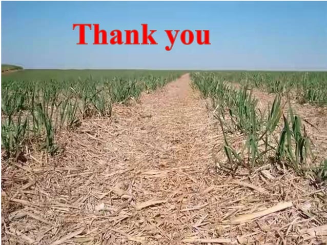 Crop Residue Management for Soil Health Enhancement | PPT | Agriculture | Industries