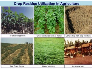 Crop Residue Management for Soil Health Enhancement | PPT