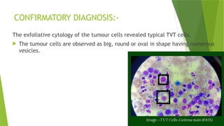 ppt regarding diseases in animal used for vet pratices | PPTX