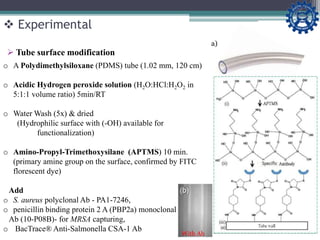 Scientific report article presentation | PPT