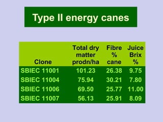 Paradigm shift in breeding for Sugarcane to Energycane – An exclusive ...