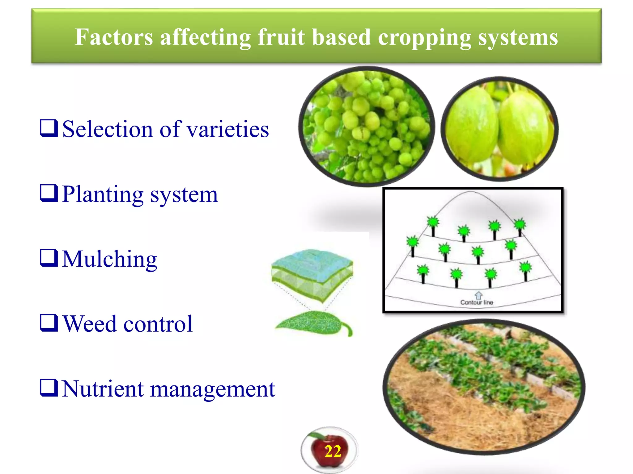Fruit based agroforestry systems in drylands | PPTX