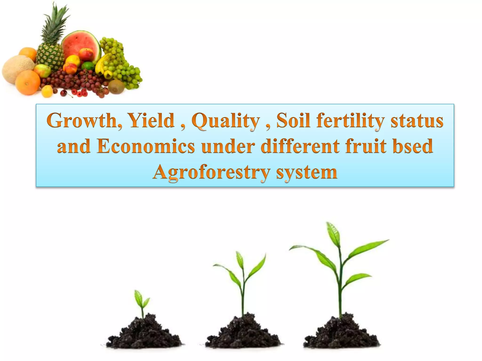 Fruit based agroforestry systems in drylands | PPTX