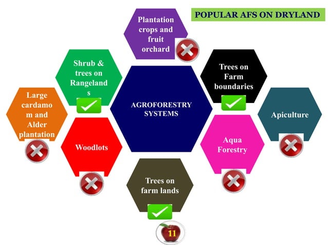 Fruit based agroforestry systems in drylands | PPTX