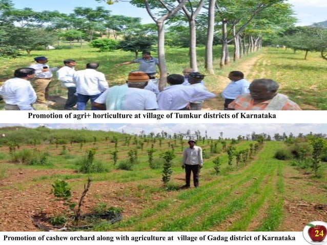 Fruit based agroforestry systems in drylands | PPTX