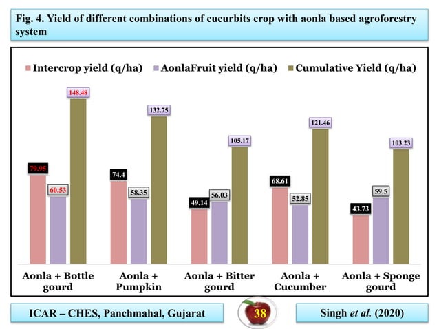 Fruit based agroforestry systems in drylands | PPTX
