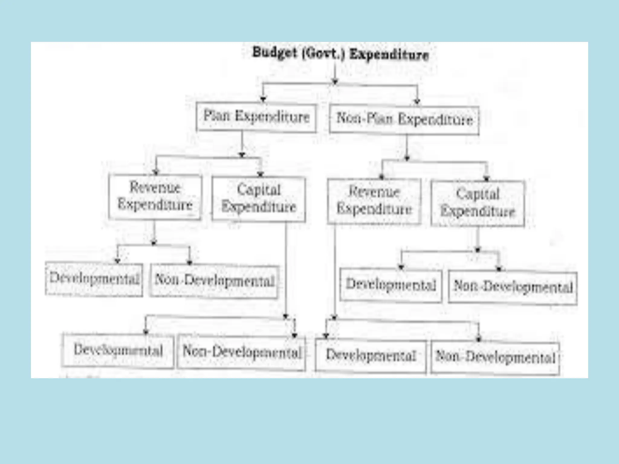 Govt Budget & the Economy class 12 .pptx