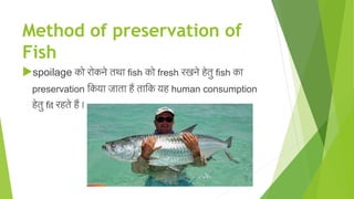 FISH PRESERVATION | PPT