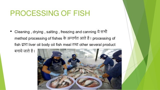 FISH PRESERVATION