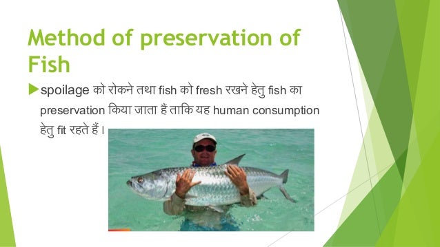 FISH PRESERVATION