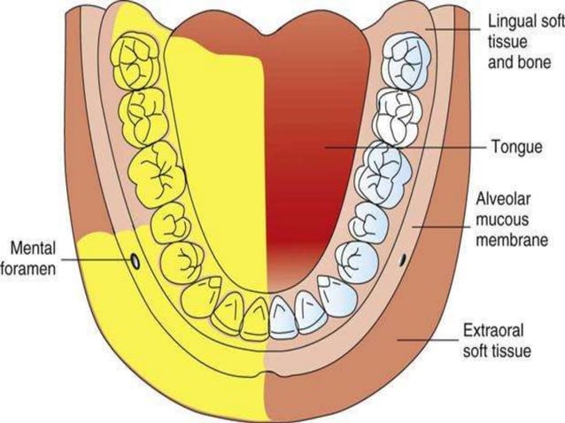 Gow gates & vazirani akinosi technique of nerve | PPTX