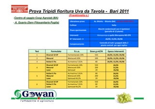 Gowan dicarzol-magnet-fmv-2012 | PPT