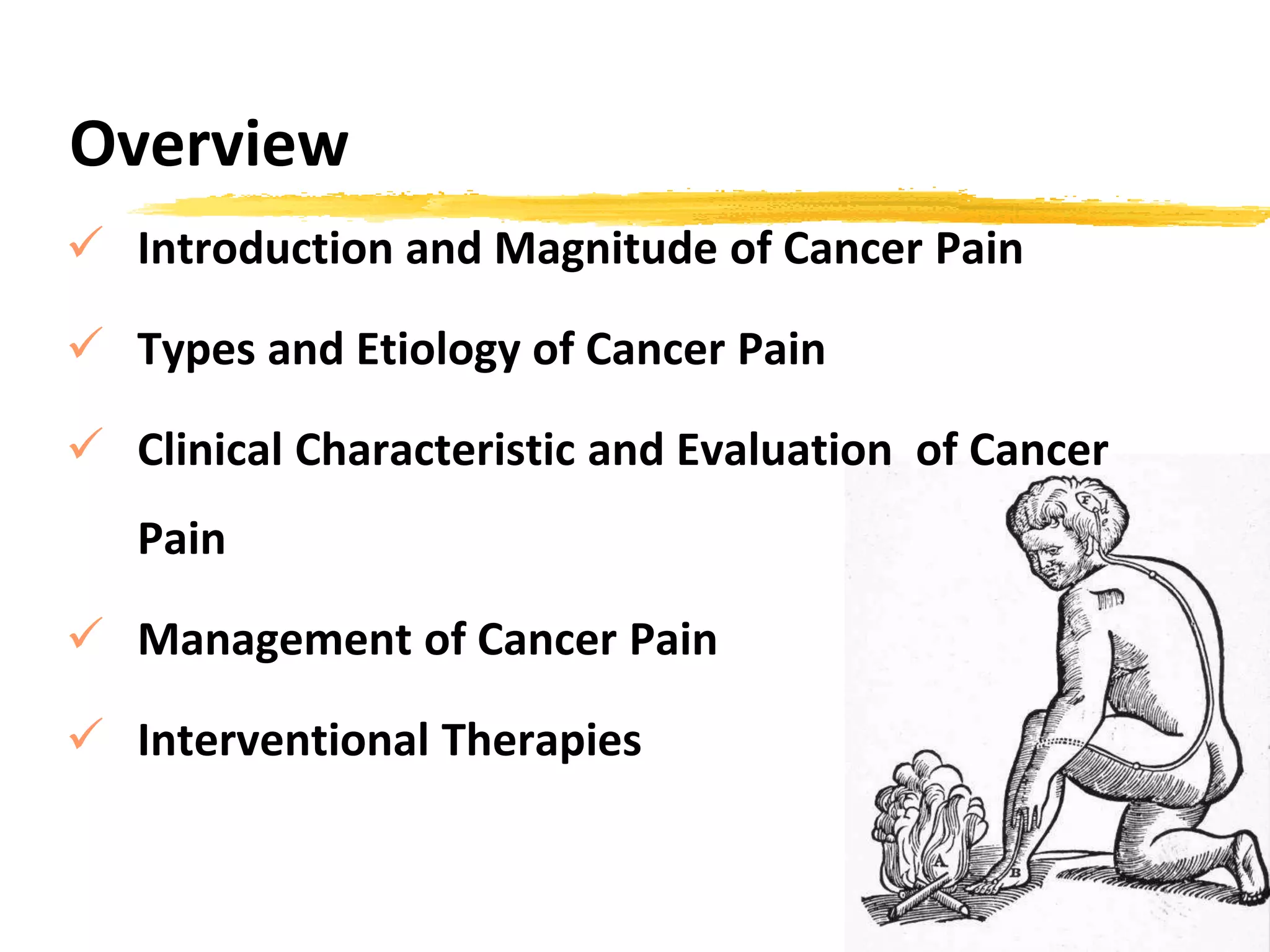 cancer pain management | PPSX