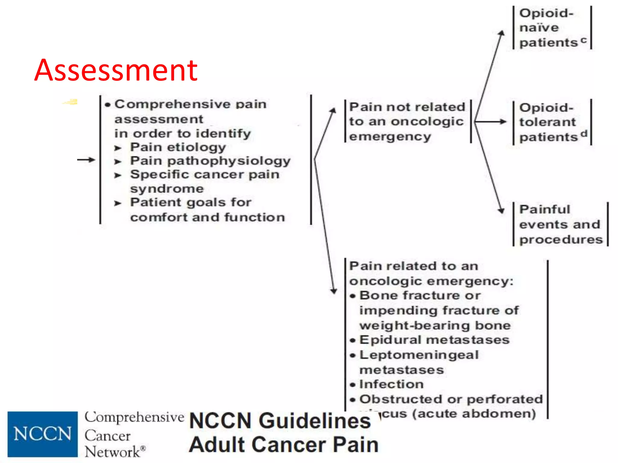 cancer pain management | PPSX