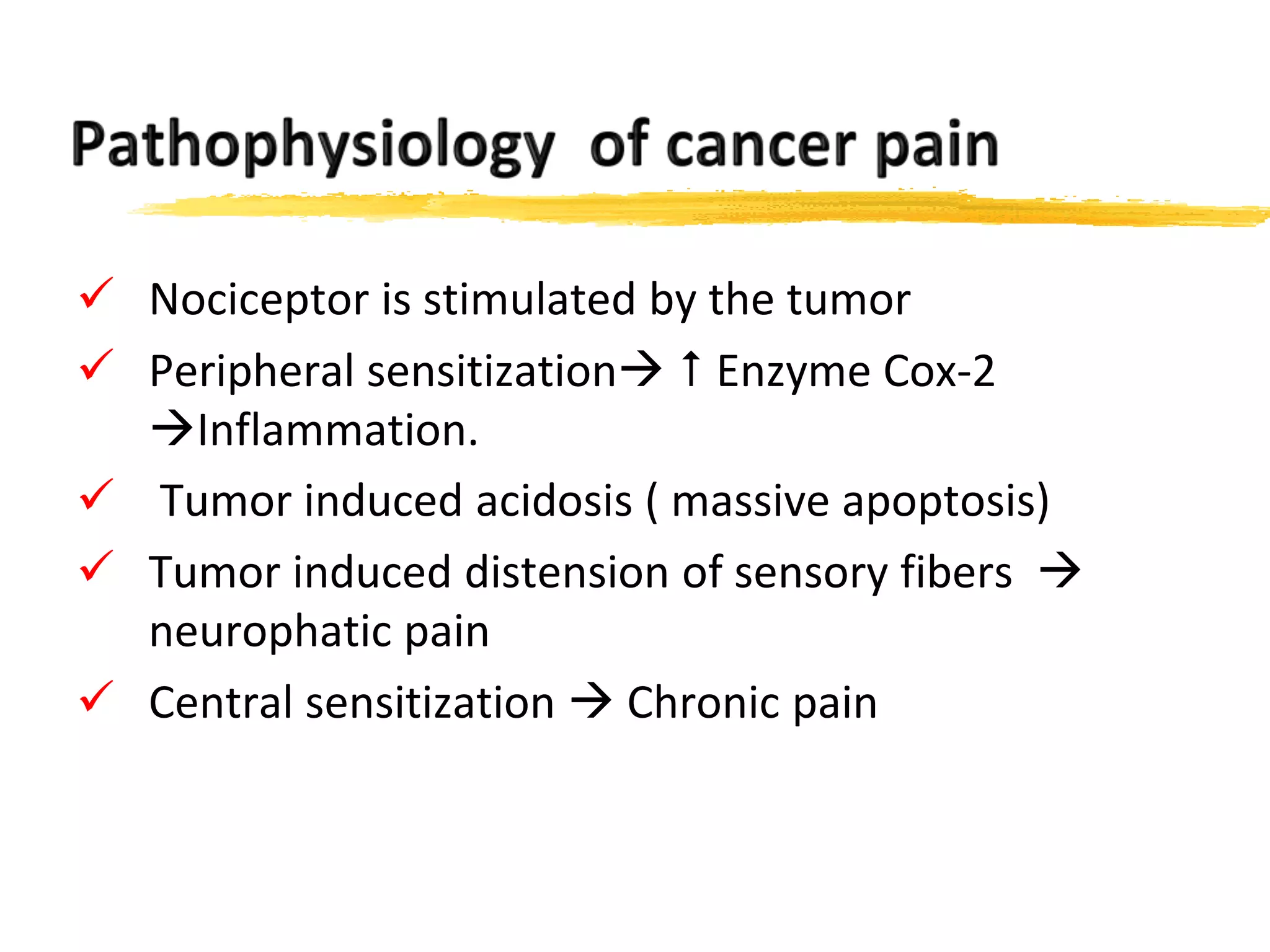 cancer pain management | PPSX