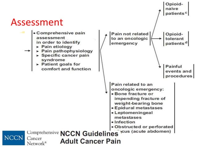 cancer pain management | PPSX