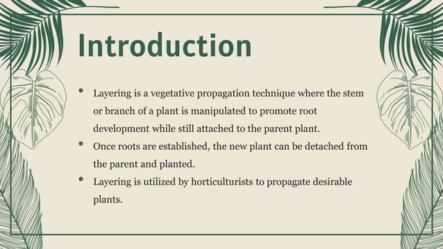 Layering techniques in botany, its types | PPTX