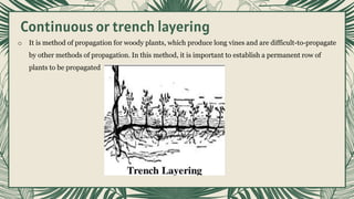 Layering techniques in botany, its types | PPTX