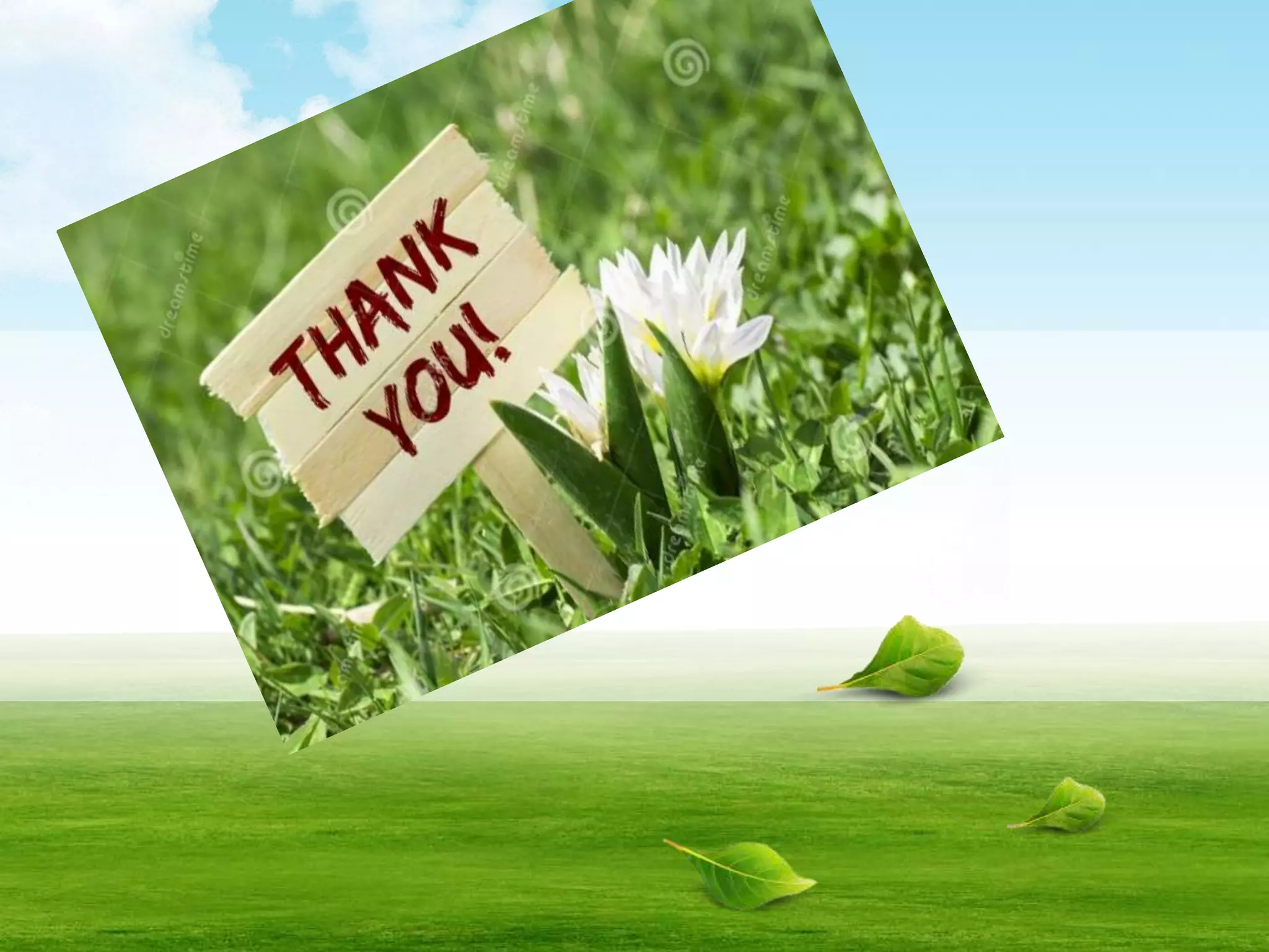 International Accounting Standard Board(IASB) - Structure | PPTX