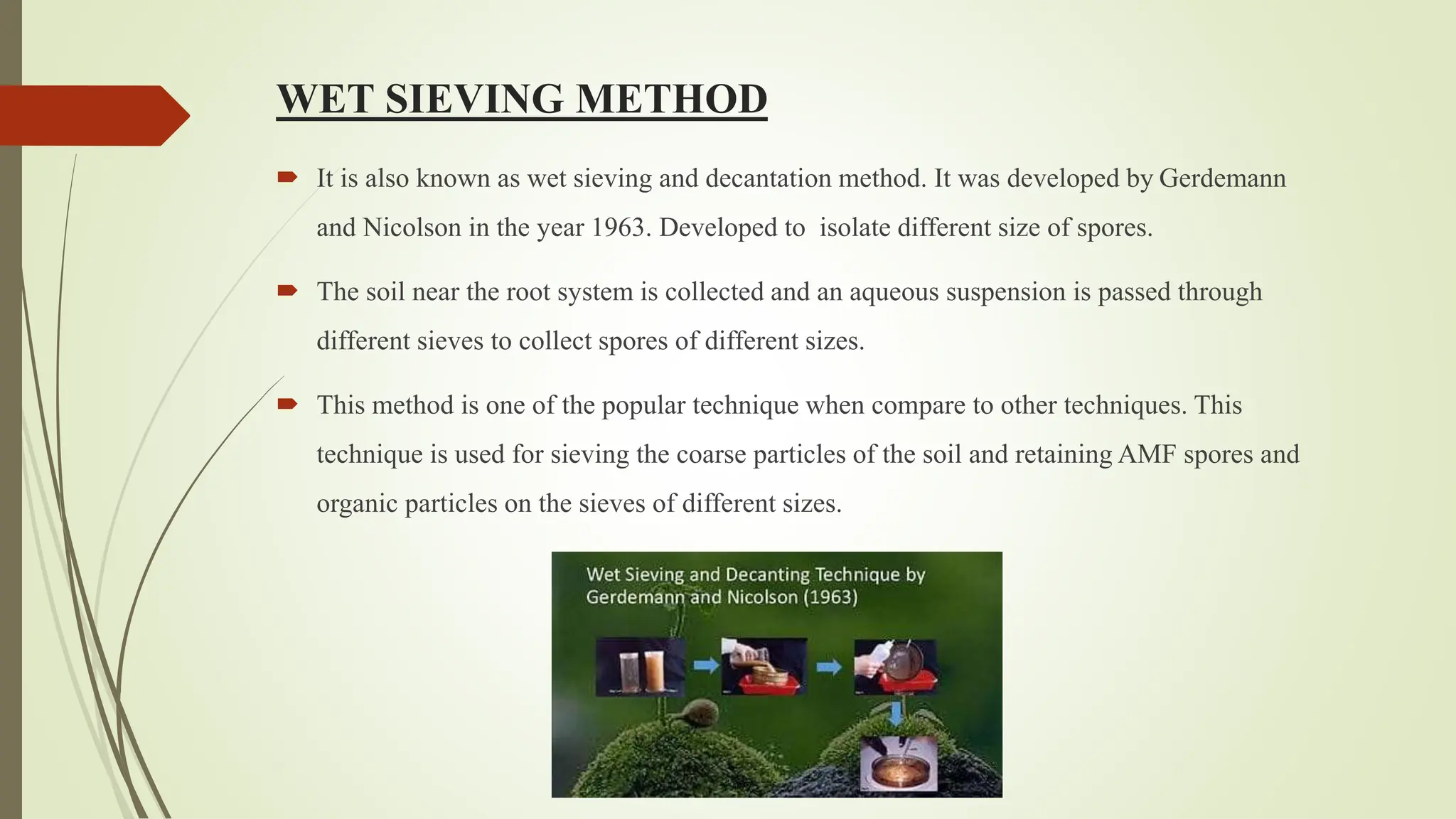 Isolation of AMF by wet sieving and decantation method pptx | PPTX
