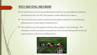 Isolation of AMF by wet sieving and decantation method pptx | PPTX