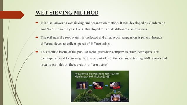 Isolation of AMF by wet sieving and decantation method pptx | PPTX