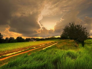 Go Your Own Way | PPT