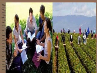 Changes and challenges faced by adolescence and early adults in the ...