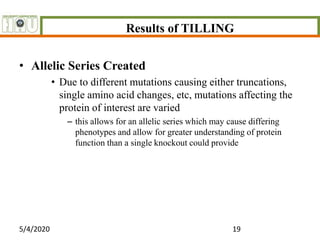 TILLING and Eco-TILLING for crop improvement | PPT
