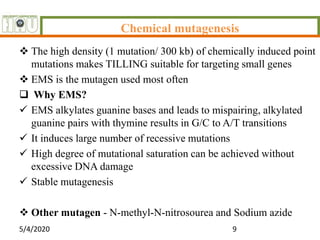 TILLING and Eco-TILLING for crop improvement | PPT