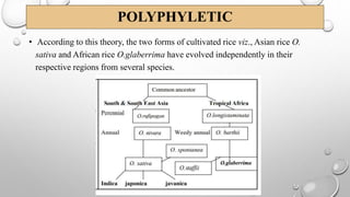 Advances in Breeding of Major Field Crop | PPT