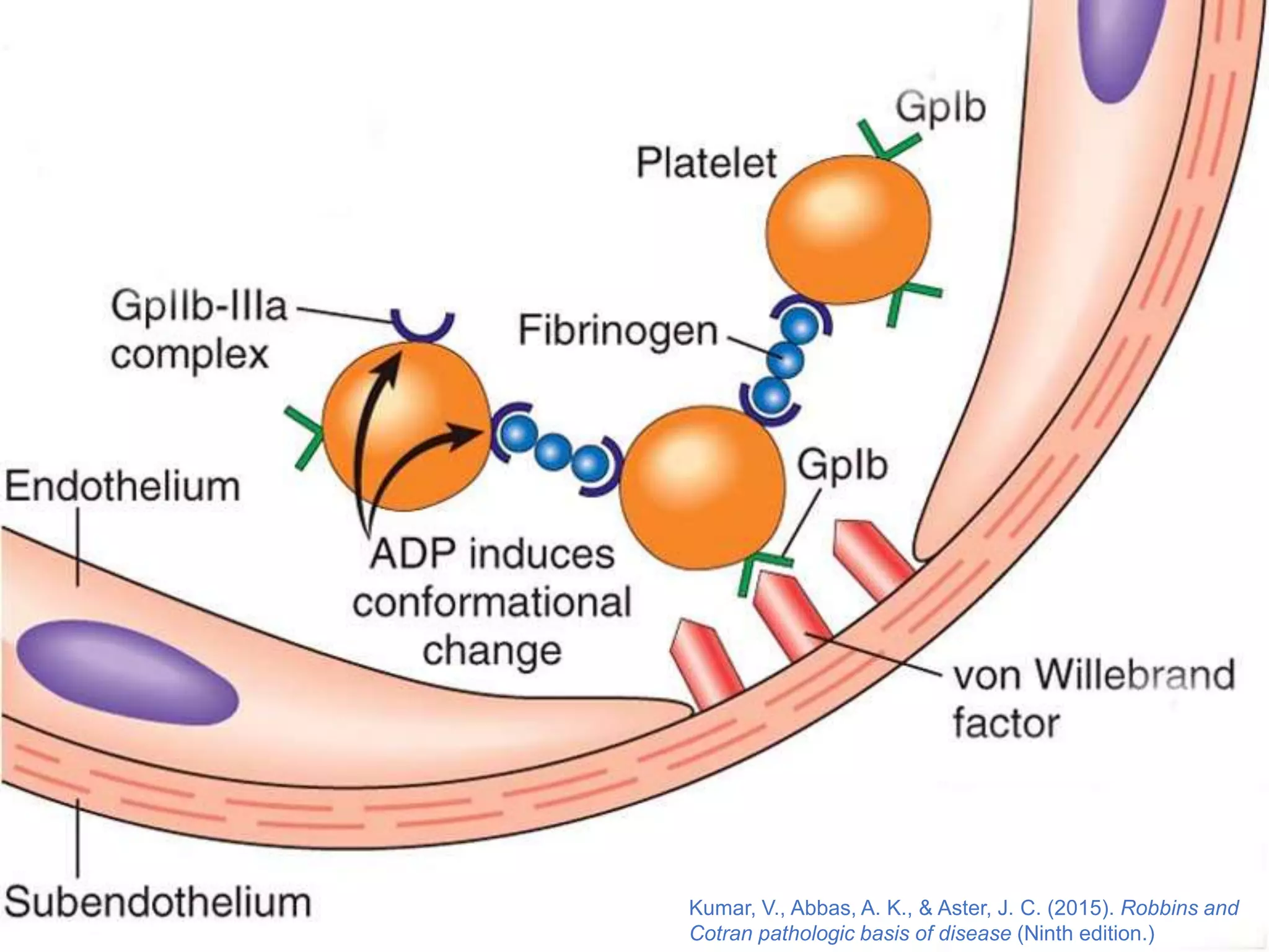 Glycoprotein IIb/IIa inhibitors | PPTX