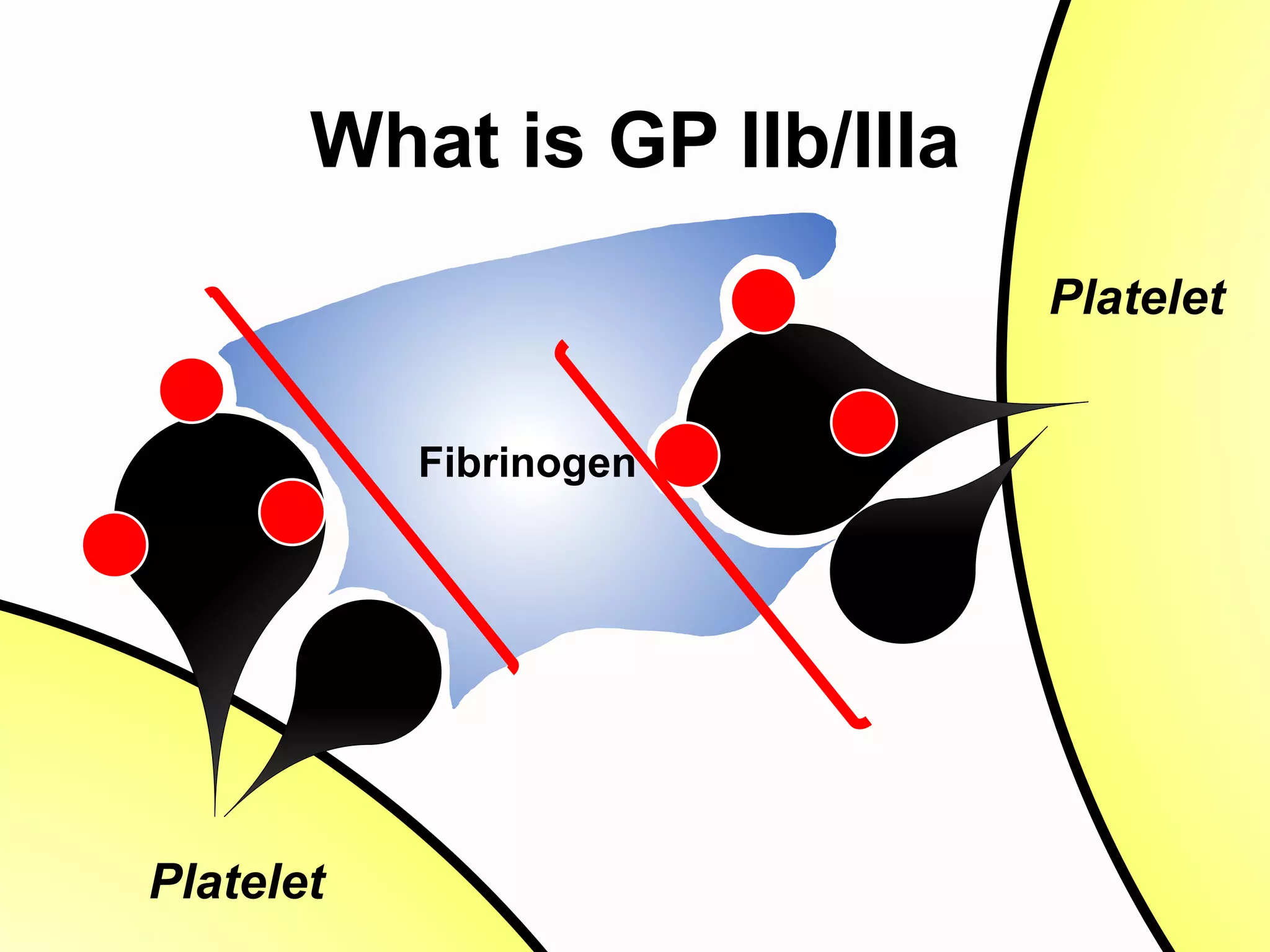 Glycoprotein IIb/IIa inhibitors | PPTX